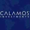 Cashtest – Calamos Convertible Opportunities and Income Fund — Nur ...